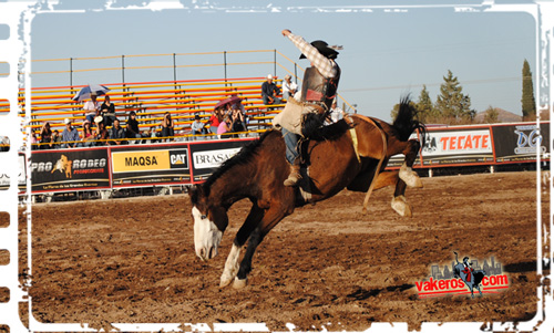Rodeo de Expogan 2011